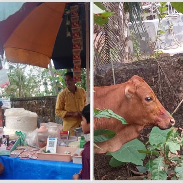 Vittla: ವಿಟ್ಲ: ಎಟಿಎಂ ಕಾರ್ಡ್ ಅದಲು ಬದಲು ಮಾಡಿ ಮಹಿಳೆ ಖಾತೆಯಿಂದ ಲಕ್ಷಕ್ಕೂ ಅಧಿಕ ...